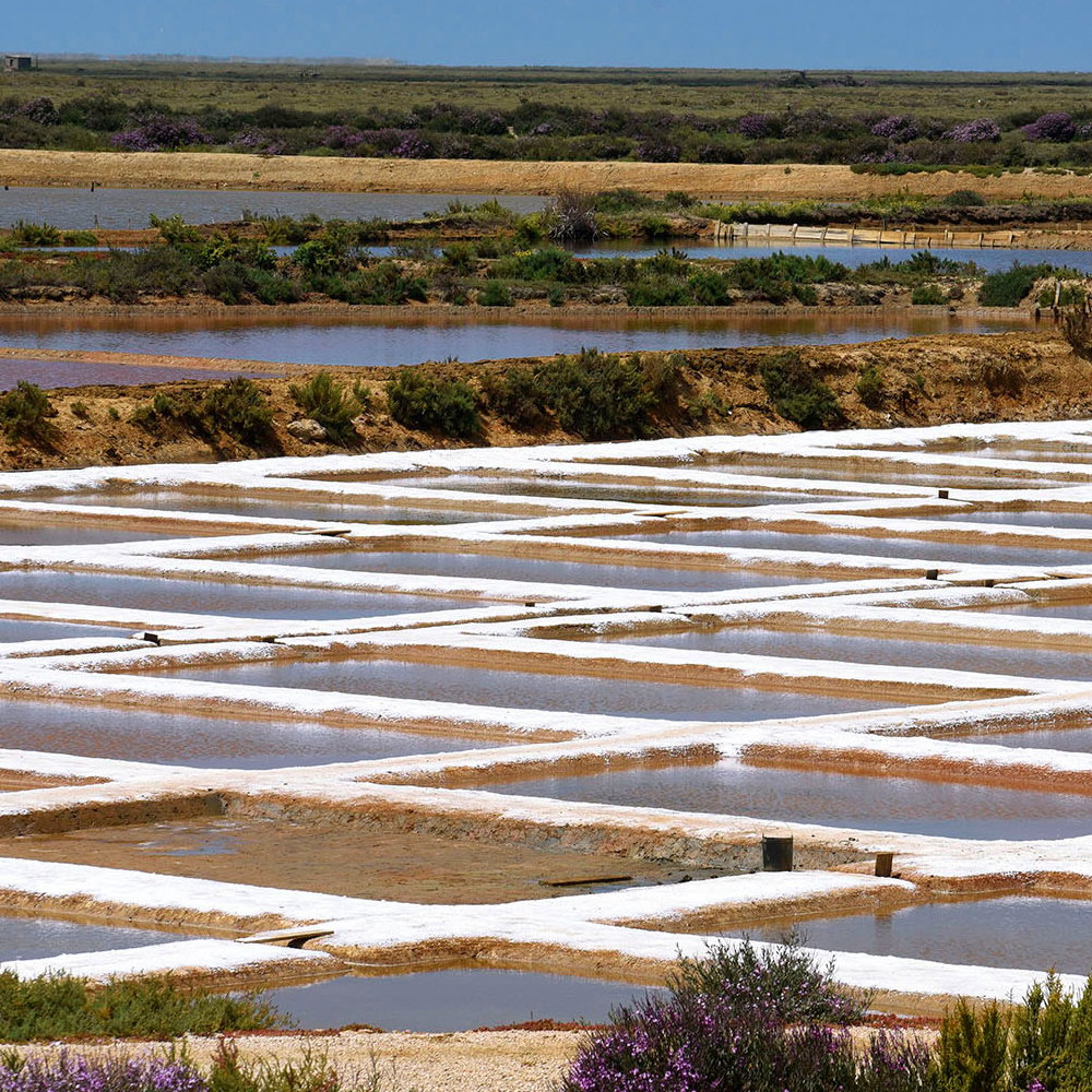 Our Sea Salt | Marisol